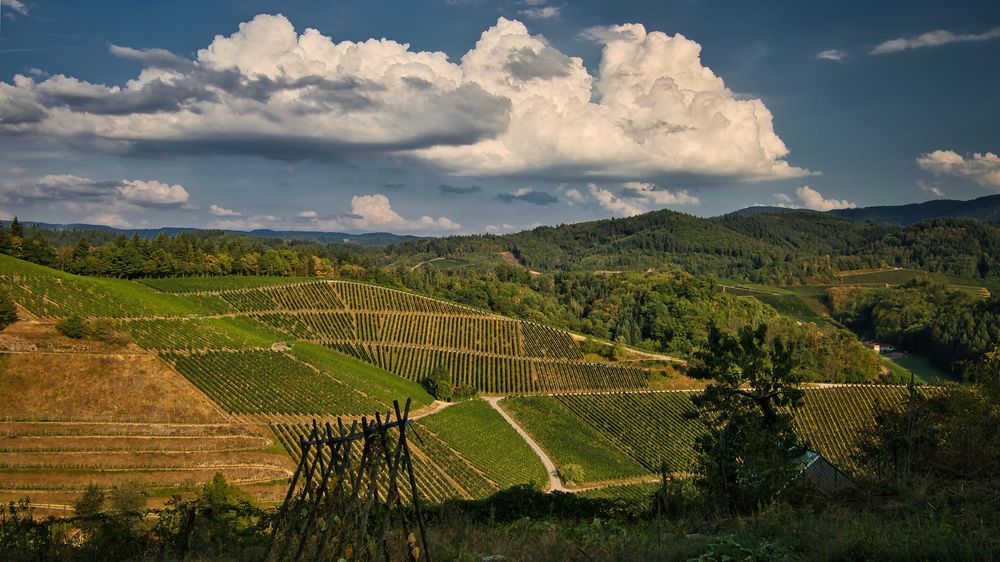 Panorama in der schönen Ortenau... Foto & Bild | landschaft ...