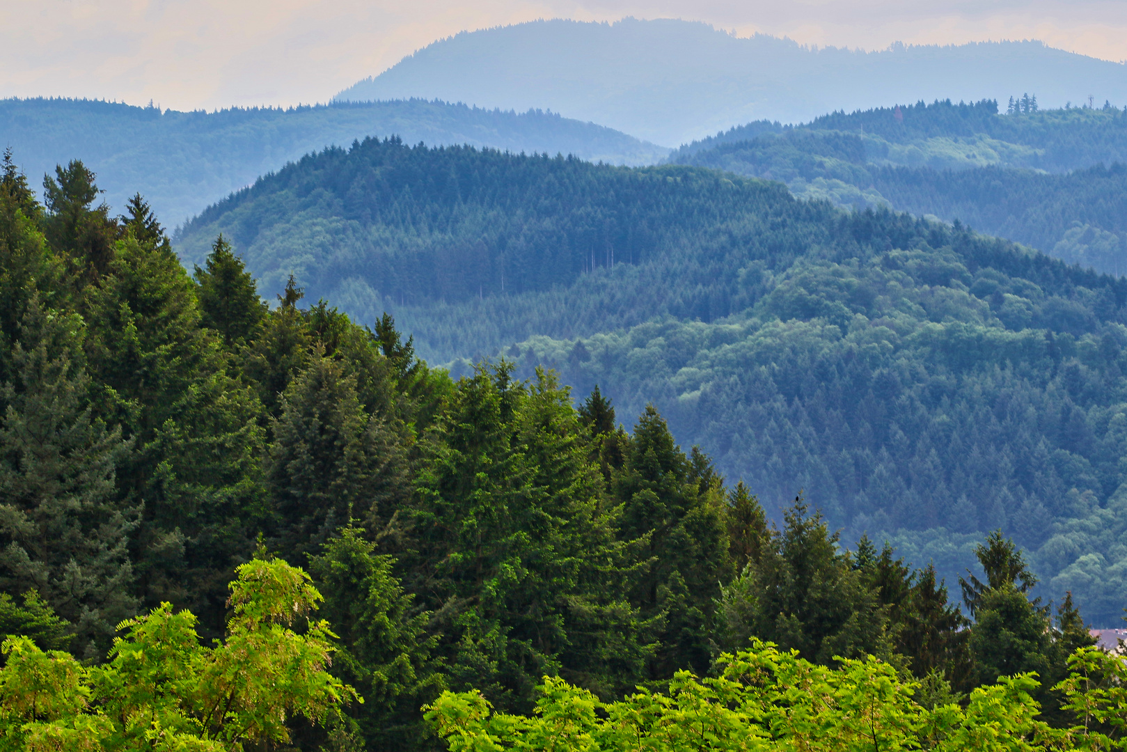 Panorama Schwarzwald Foto & Bild | landschaft, berge, fotos Bilder auf ...