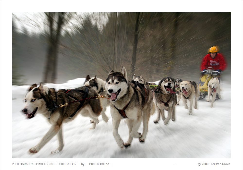 "Panoramic Husky Adventure" Foto & Bild | sport, sport mit tieren ...
