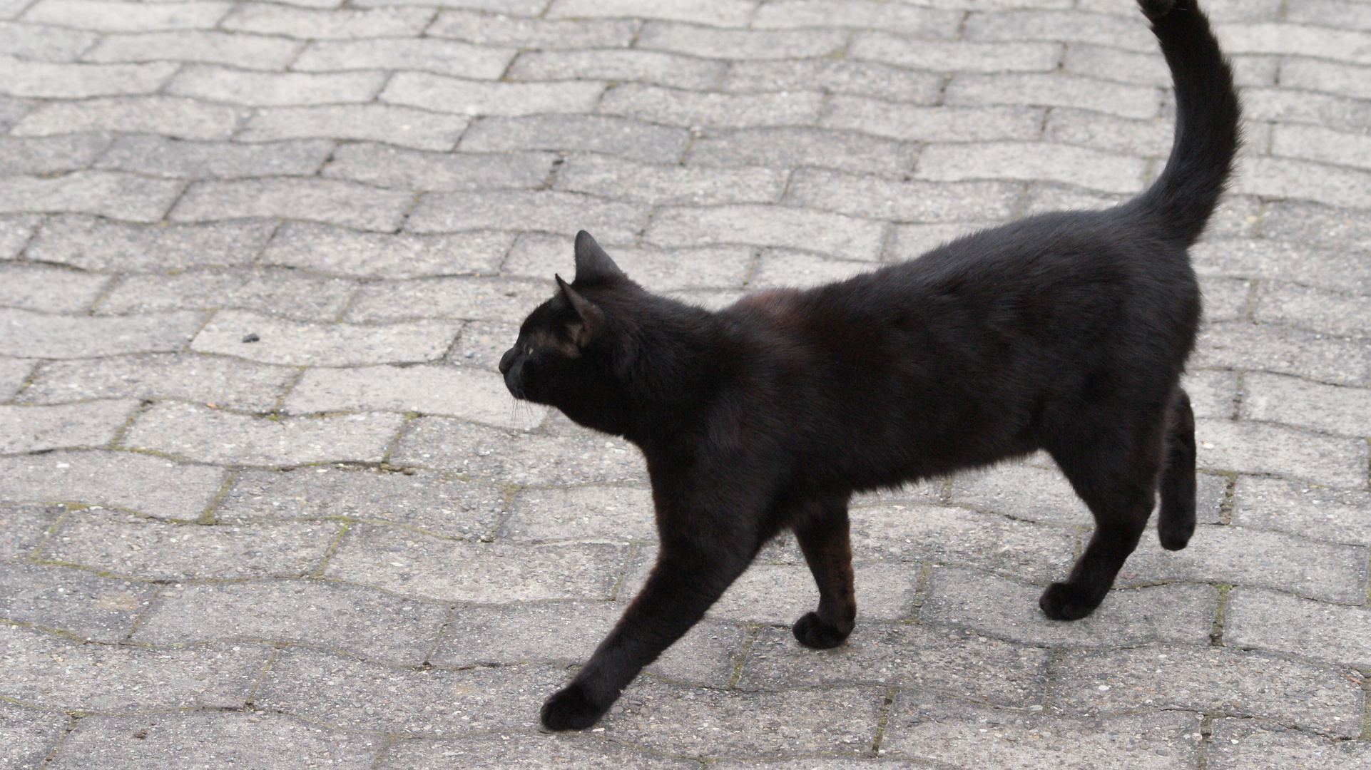 Panta Foto & Bild | tiere, tierdetails, natur Bilder auf fotocommunity