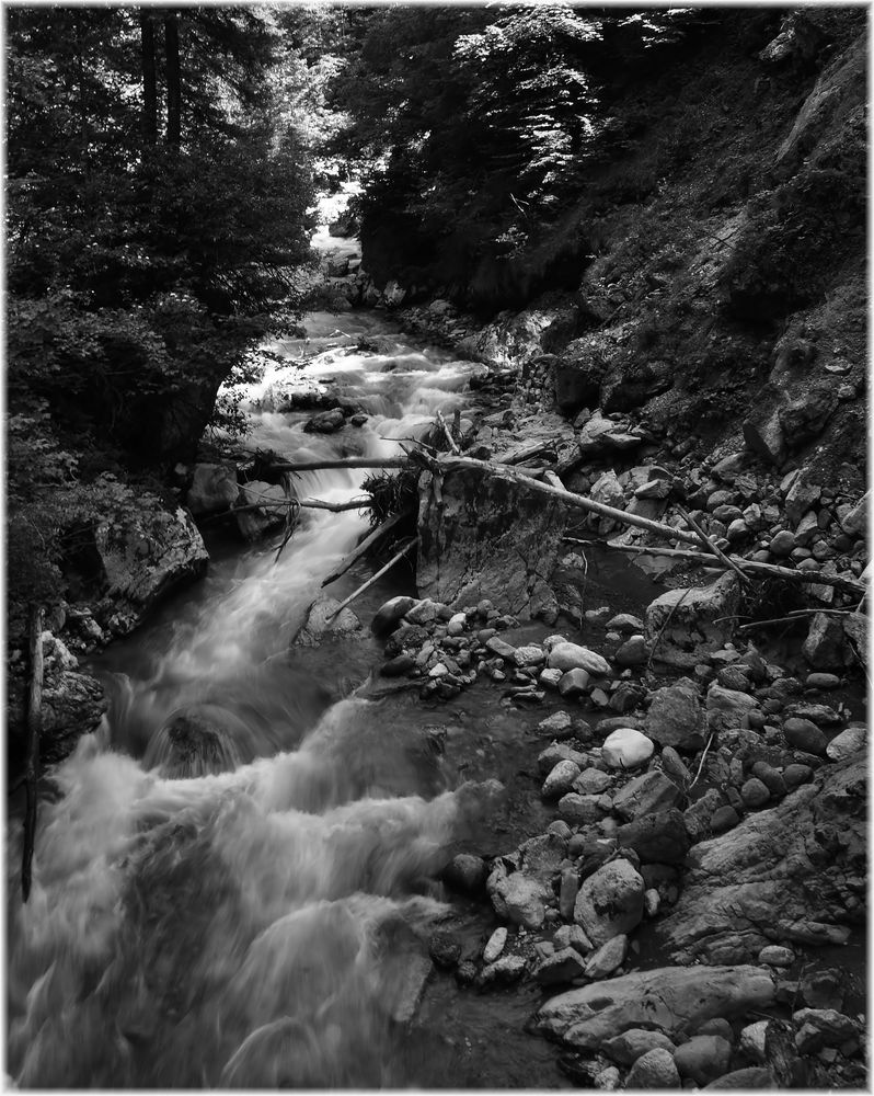 panta rhei Foto & Bild | wald, dokumentation, outdoor Bilder auf ...