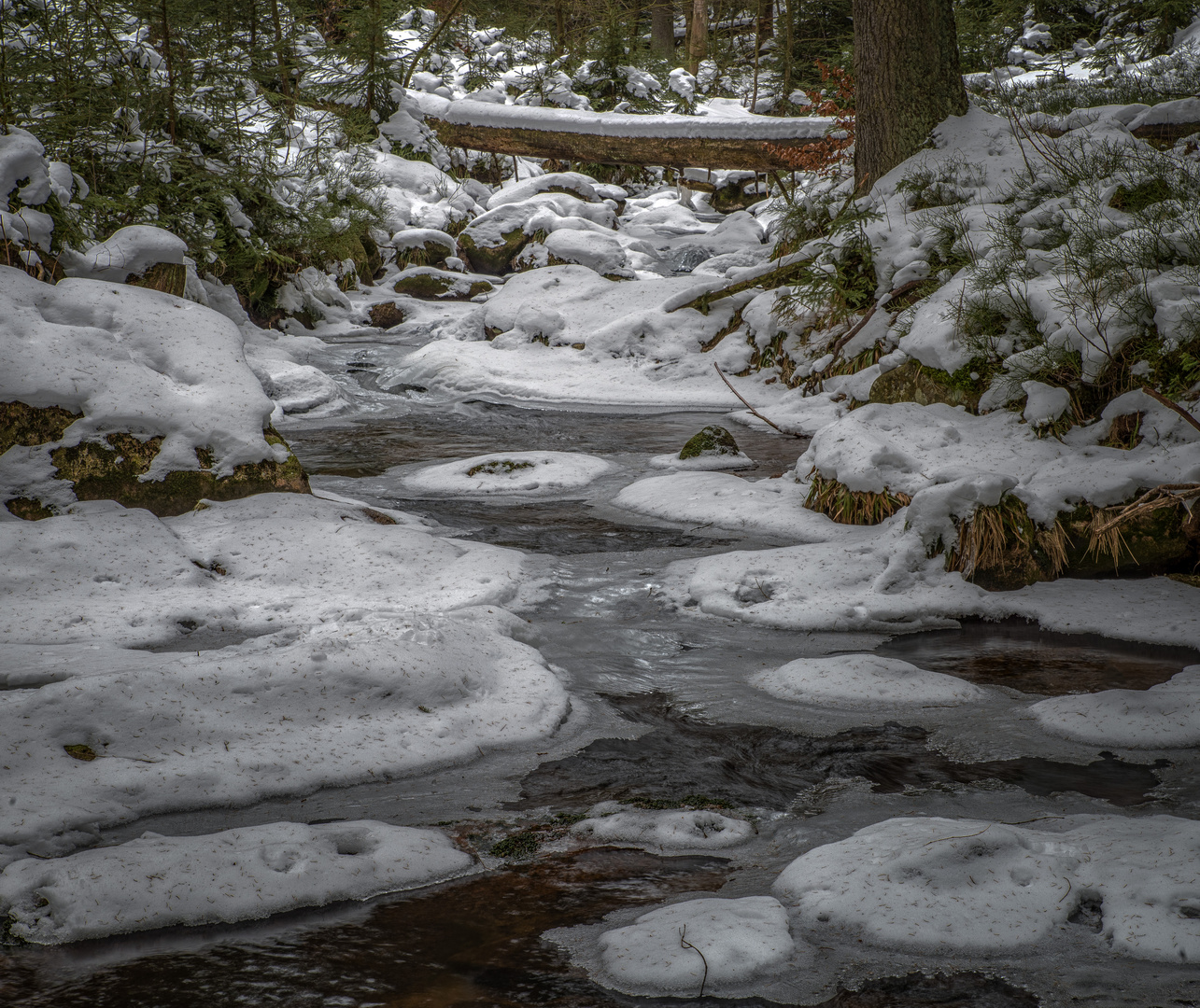 panta rhei Foto & Bild | landschaft, wald, wasser Bilder auf fotocommunity