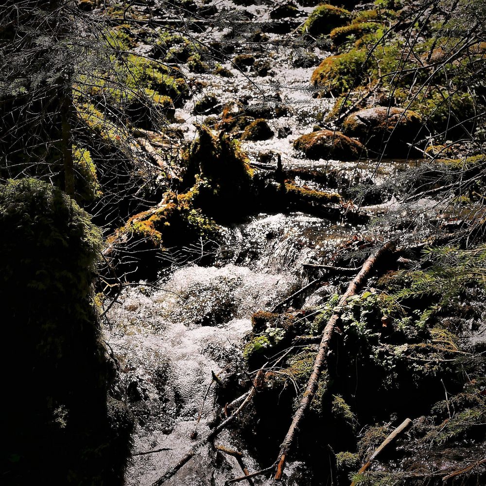 panta rhei (alles fließt) Foto & Bild | europe, Österreich, landschaft ...