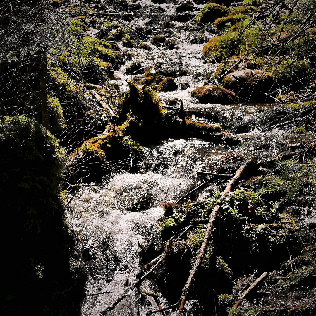 panta rhei (alles fließt) Foto & Bild | europe, Österreich, landschaft ...