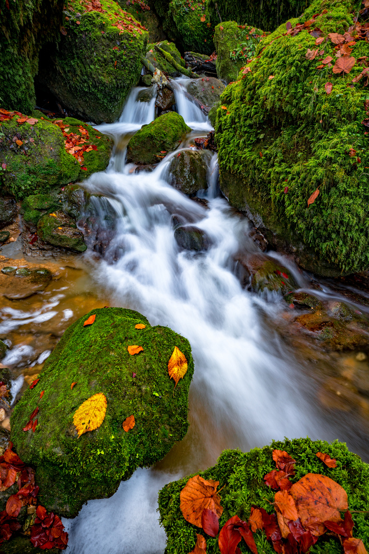 panta rhei... Foto & Bild | landschaft, jahreszeiten, herbst Bilder auf ...