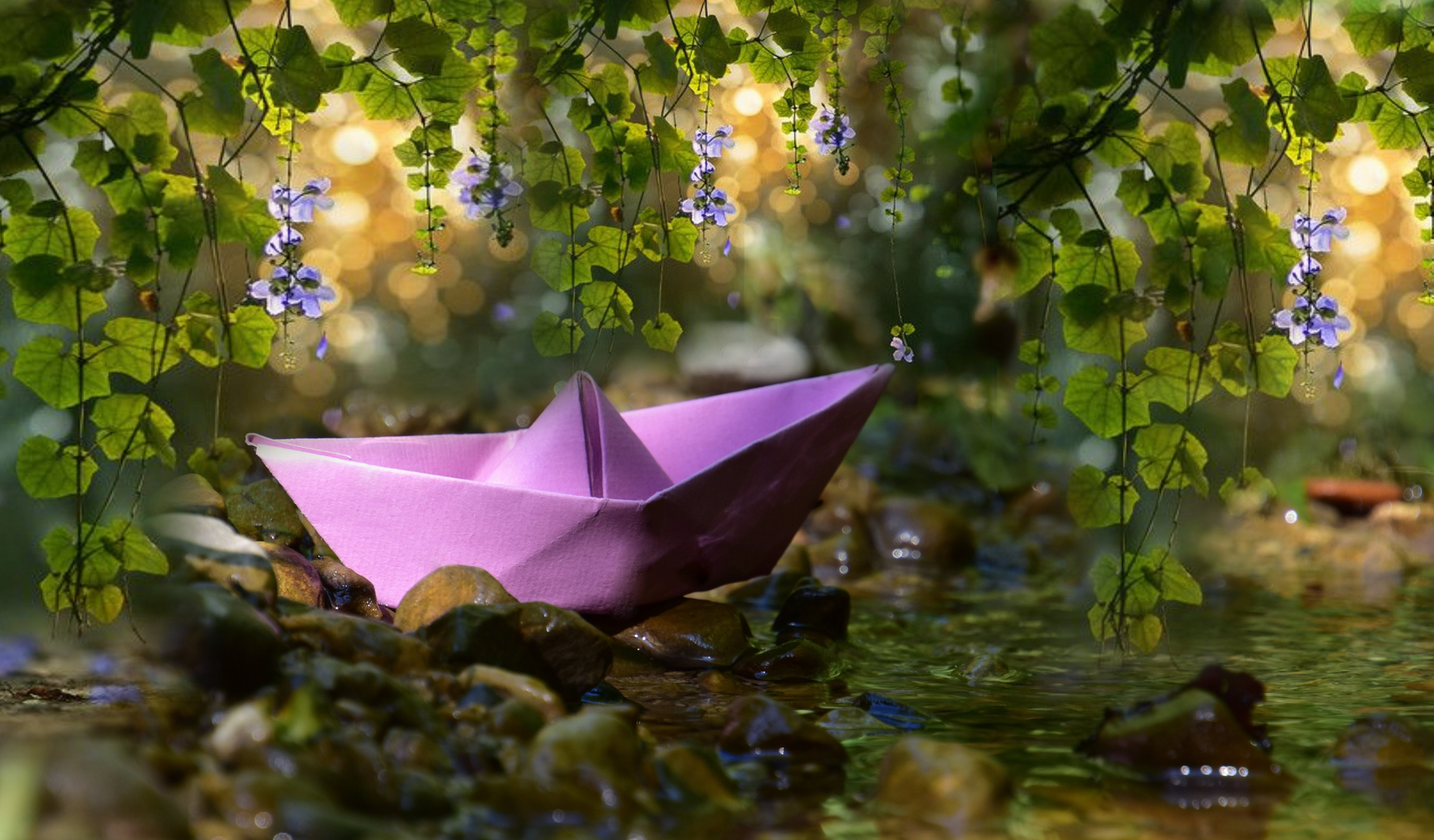 Paperboat Sektion: KI Montagen Foto & Bild | wasser, composing, bokeh Bilder auf fotocommunity