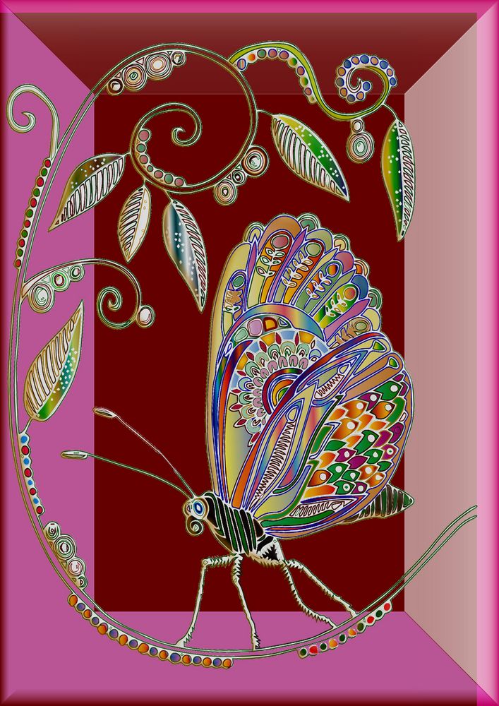 papillon de nuit photo et image | graphisme 2d, créations , 22 07 ...