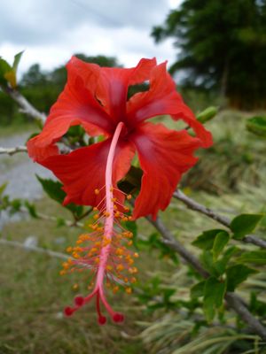 yajaira ZIUR - Fotos e imágenes - Fotógrafa | fotocommunity