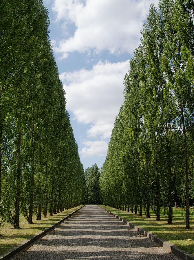 Pappelallee Foto & Bild | landschaft, alleen, landschaften Bilder auf ...