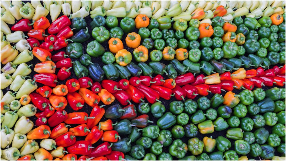 Paprika Foto & Bild | farben, gemüse, motive Bilder auf fotocommunity