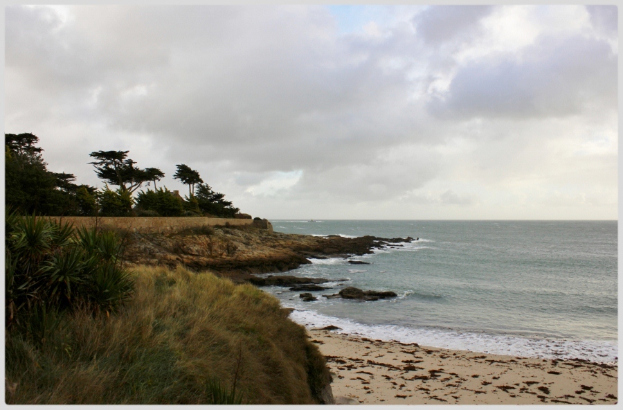 Par un temps humide... photo et image | paysages, nature Images ...