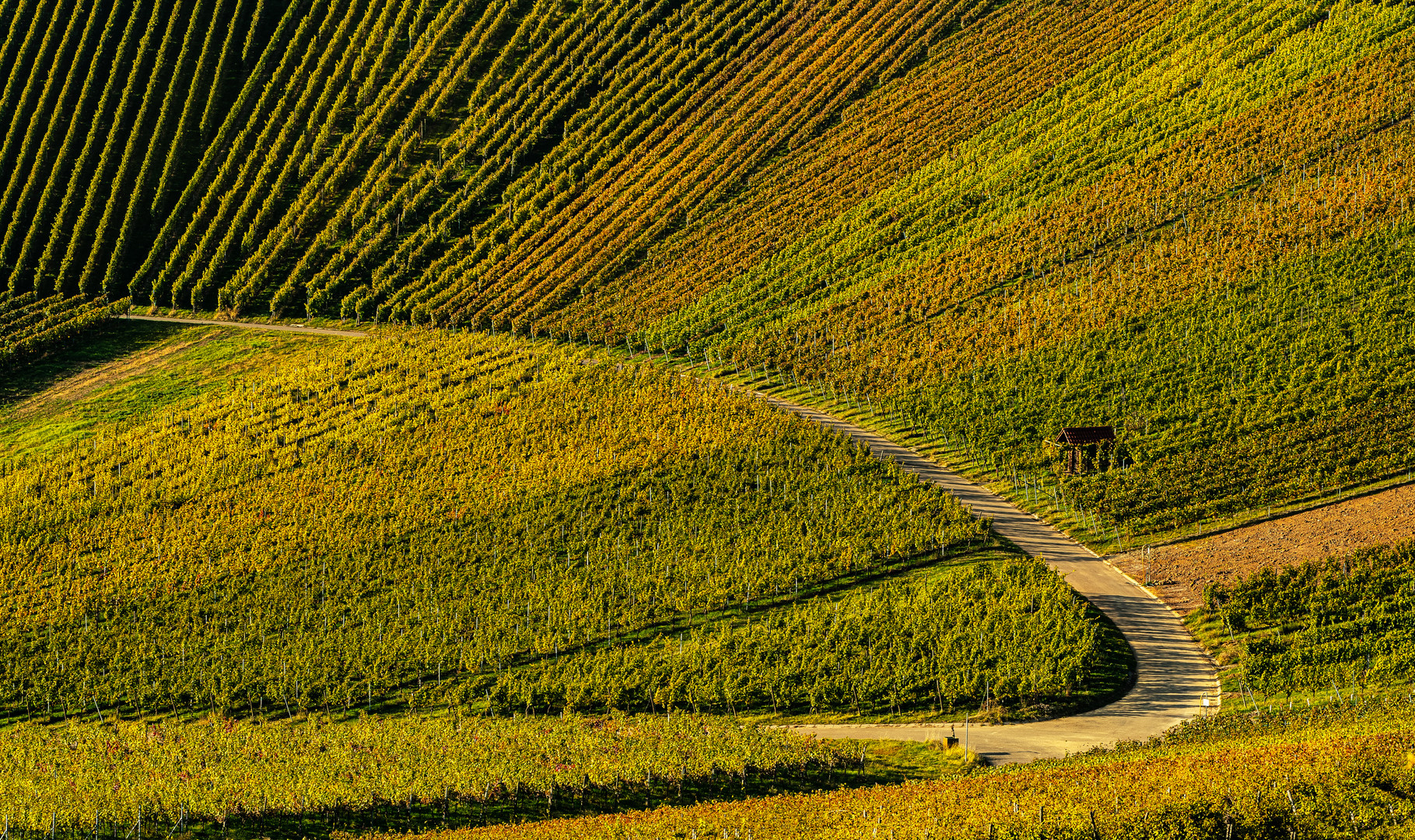 Parabel Foto & Bild | deutschland, europe, baden- württemberg Bilder ...