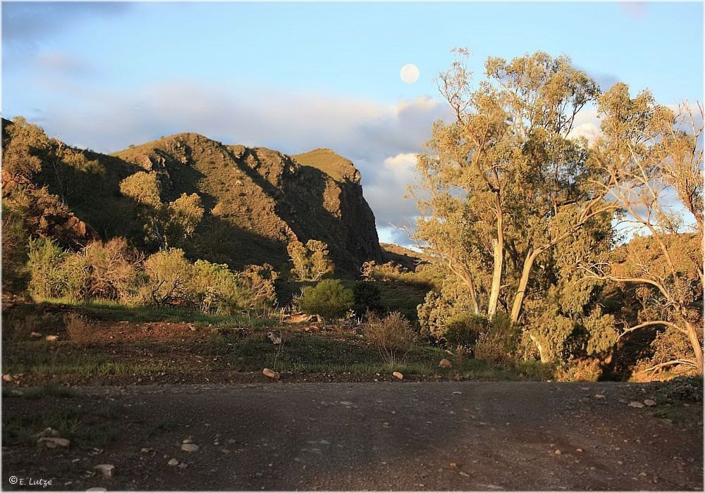 Parachilna Gorge at Sunrise *** Foto & Bild | flinders ranges - sa ...