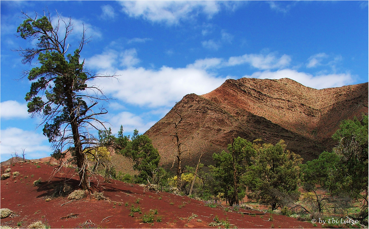 Parachilna Gorge / Flinders Ranges SA *** Foto & Bild | australia ...