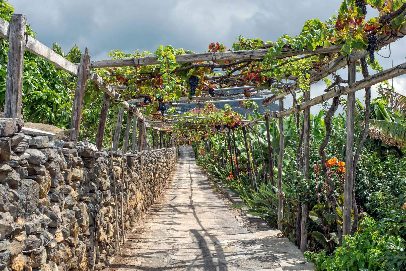 Paradies .:: Foto & Bild | urlaub, nikon, ländlich Bilder auf fotocommunity