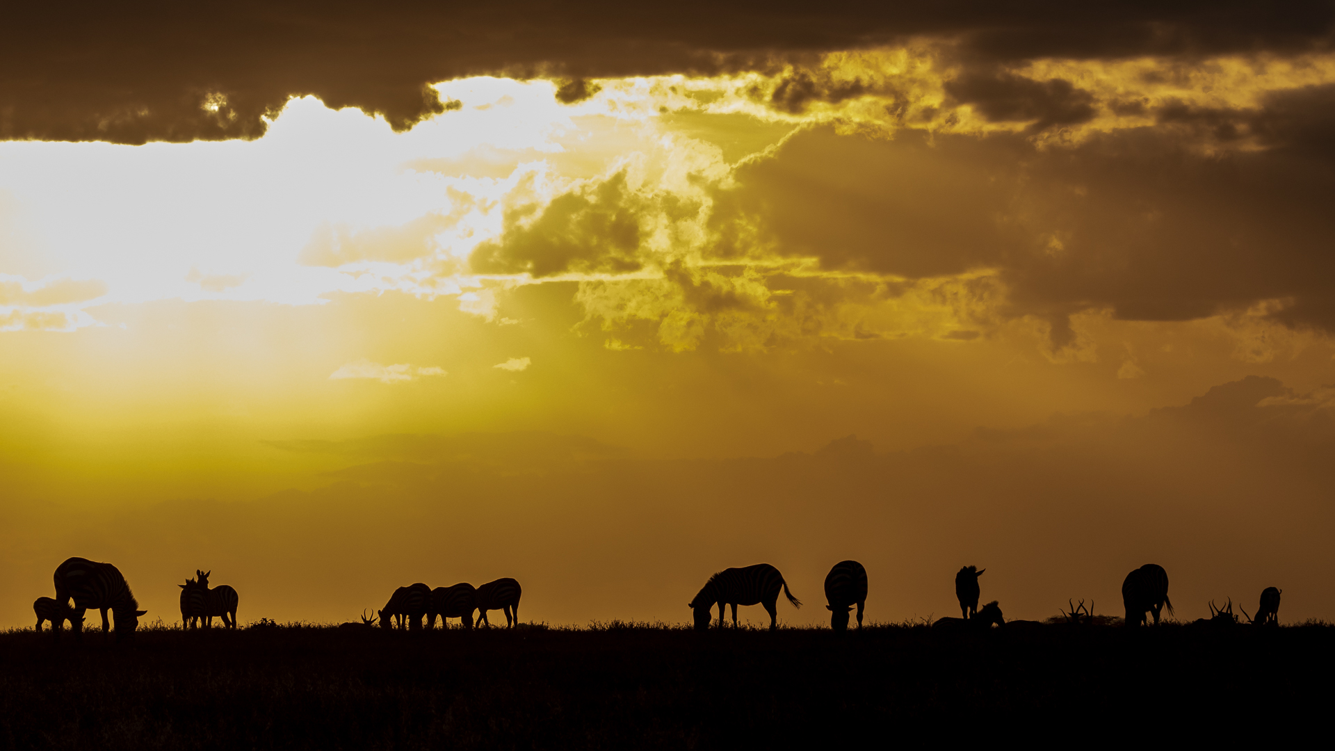 Paradies? Foto & Bild | sonnenuntergang, natur, reisen Bilder auf ...
