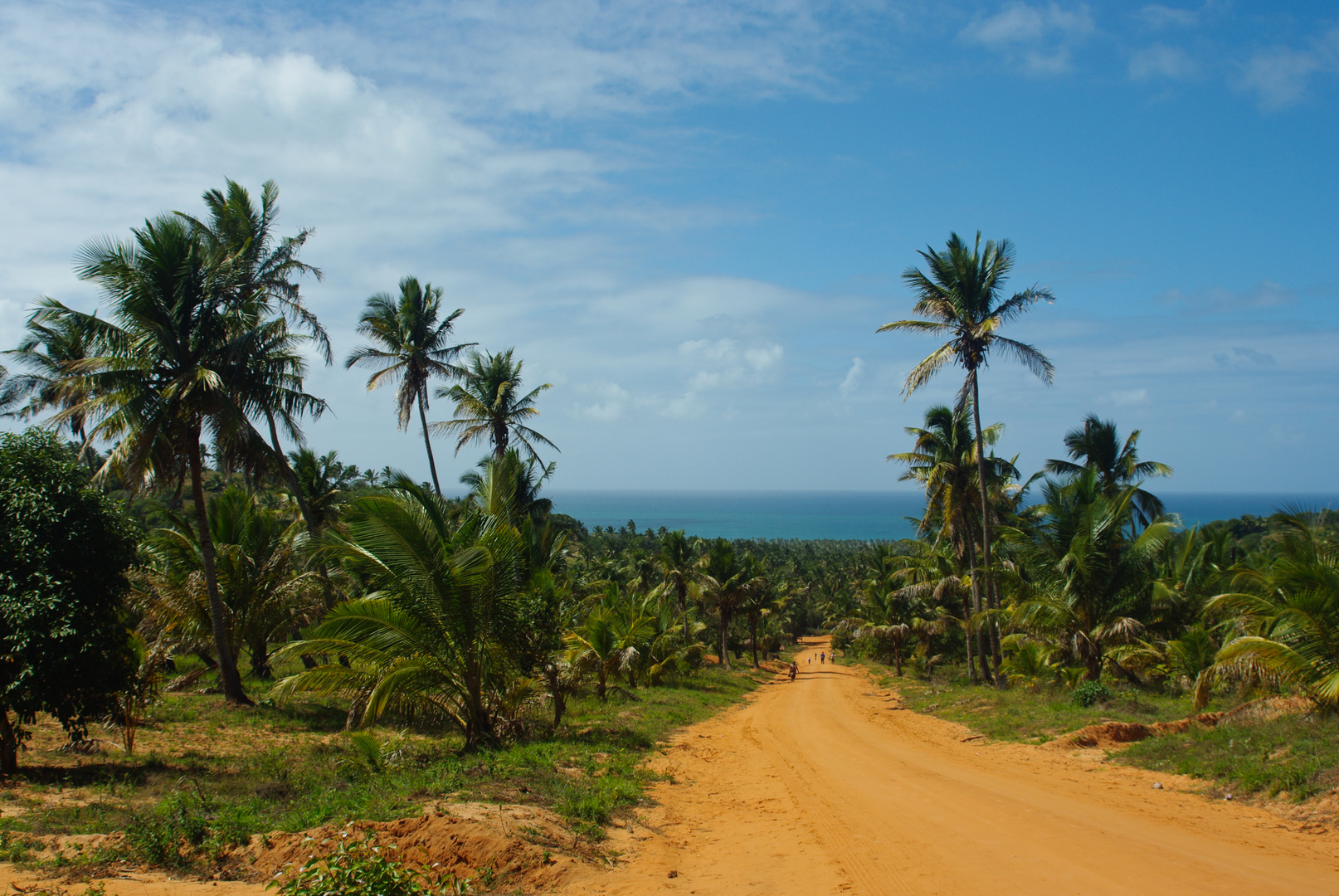 Paradies Foto & Bild | africa, southern africa, mozambique Bilder auf ...