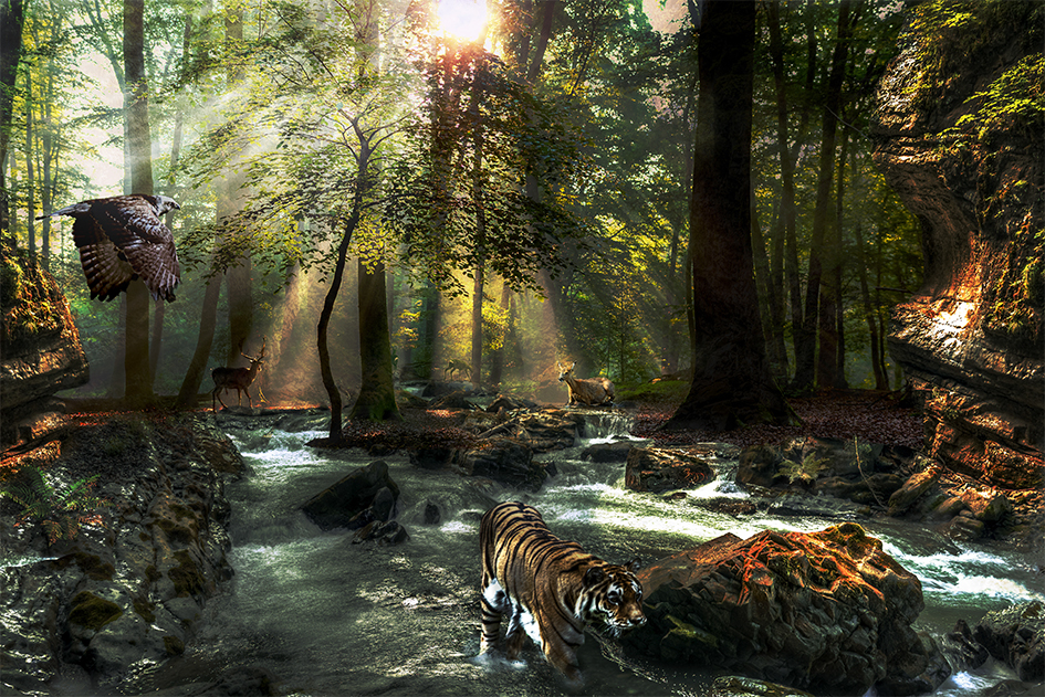 Paradies Foto & Bild | landschaften, digiart, fotomontage Bilder auf fotocommunity