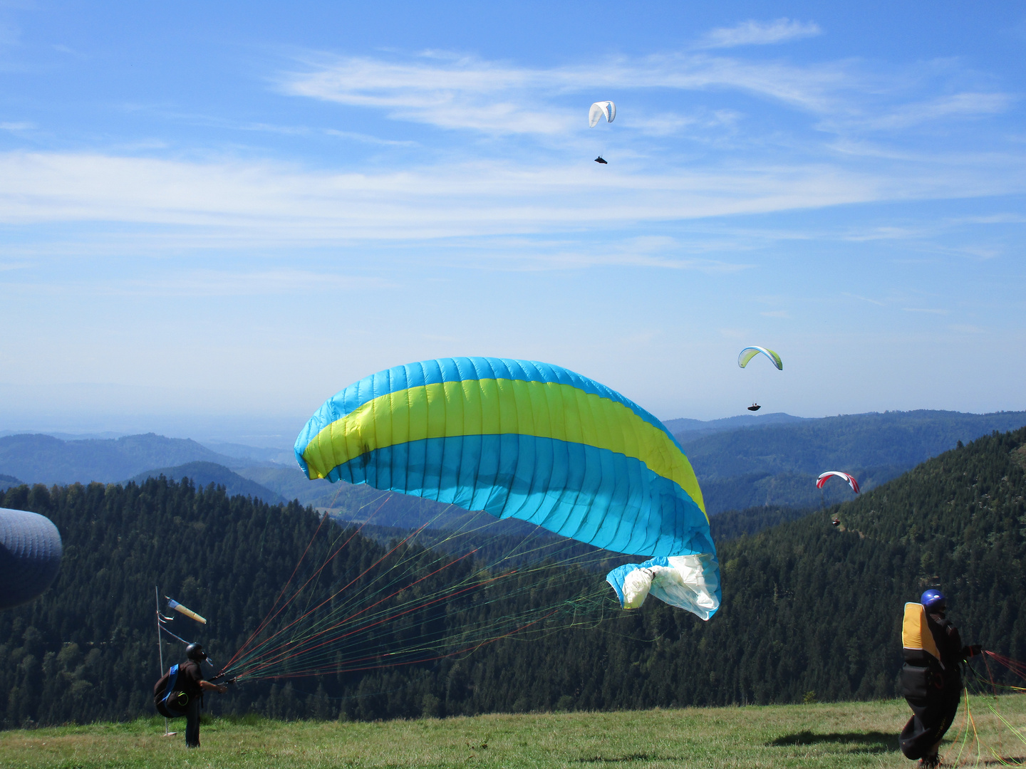 Paraglider im Schwarzwald 1 Foto & Bild | sport, flugsport, paraglider ...