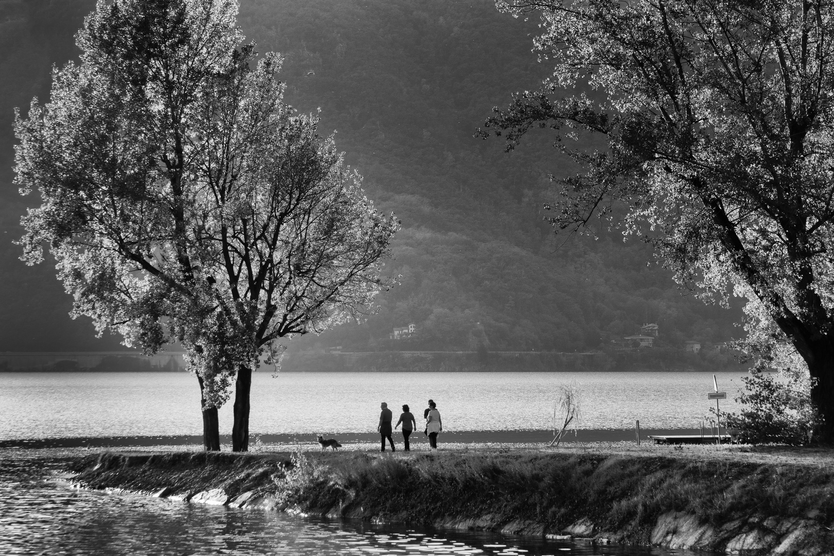 Parco Giona, Maccagno Foto % Immagini| paesaggi, campagna, laghi e ...