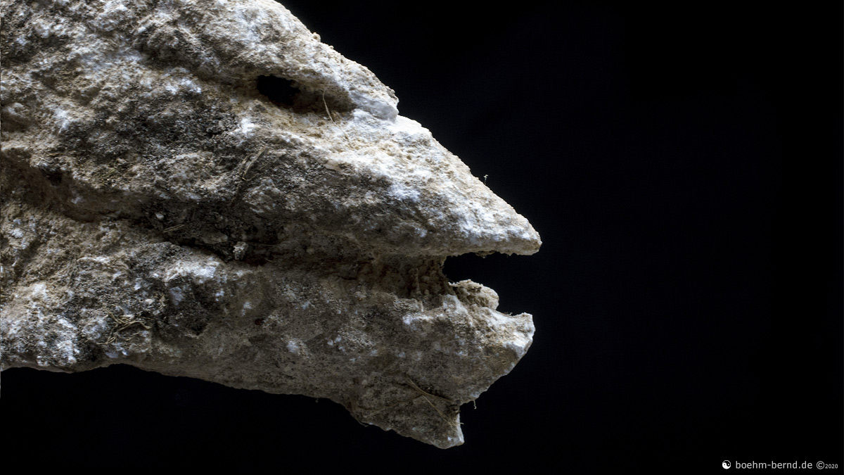 Pareidolia in Rock 20-13.2 Foto & Bild | art, natur, kunst Bilder auf ...