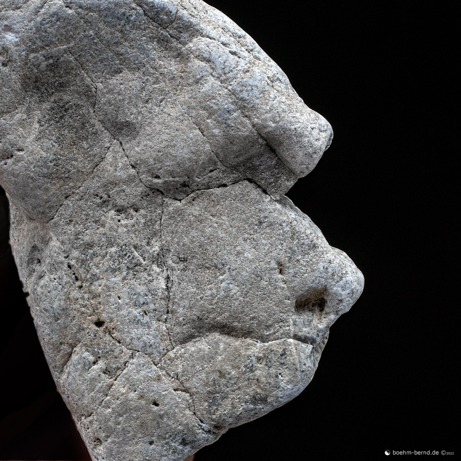 Pareidolia in Rock 22-7 Foto & Bild | art, makro, natur Bilder auf ...