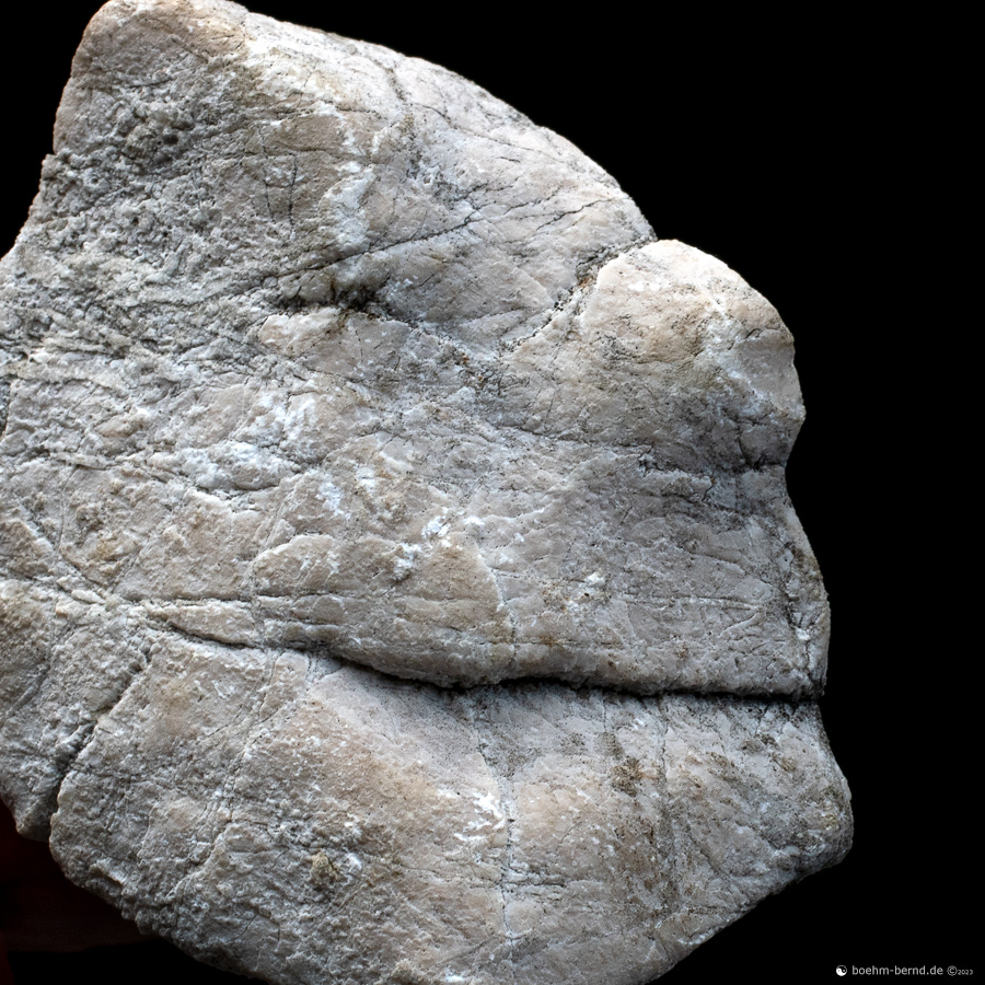 Pareidolia in Rock 23-7 Foto & Bild | art, makro, close up Bilder auf ...