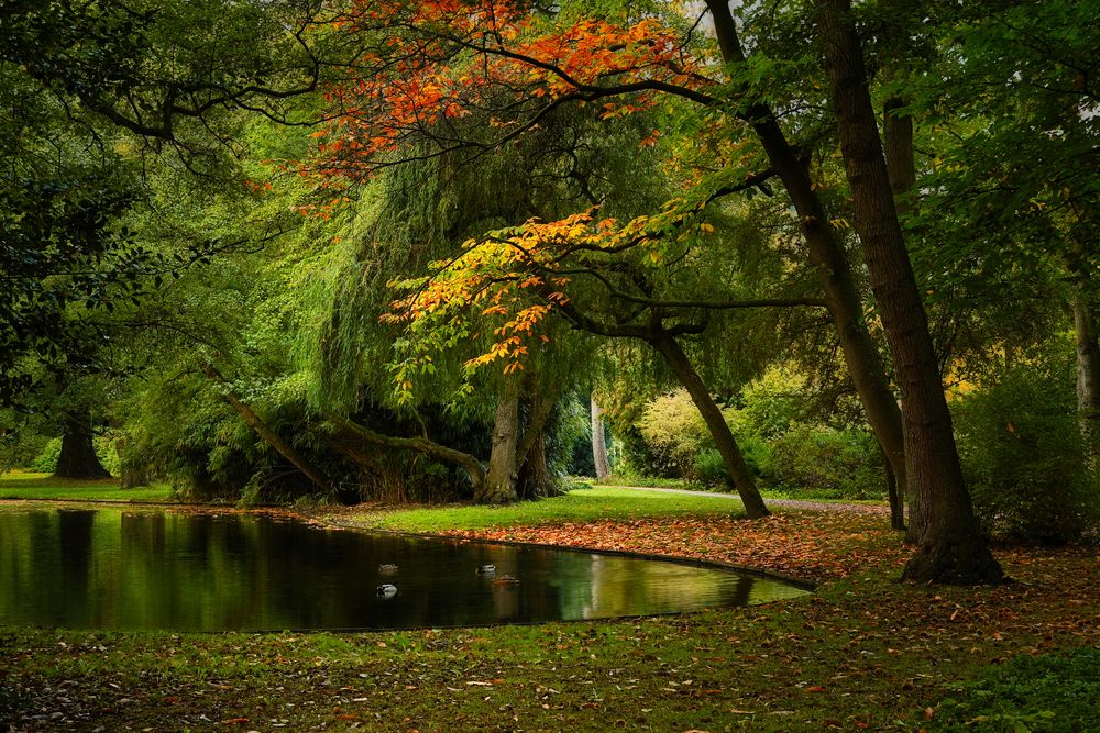 Park-Idyll Foto & Bild | landschaft, jahreszeiten, herbst Bilder auf fotocommunity