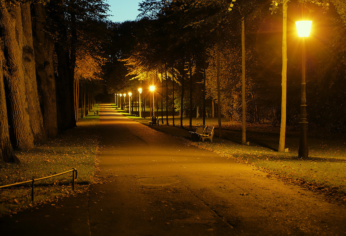 Park in der Nacht Foto & Bild | canon, night, park Bilder auf fotocommunity