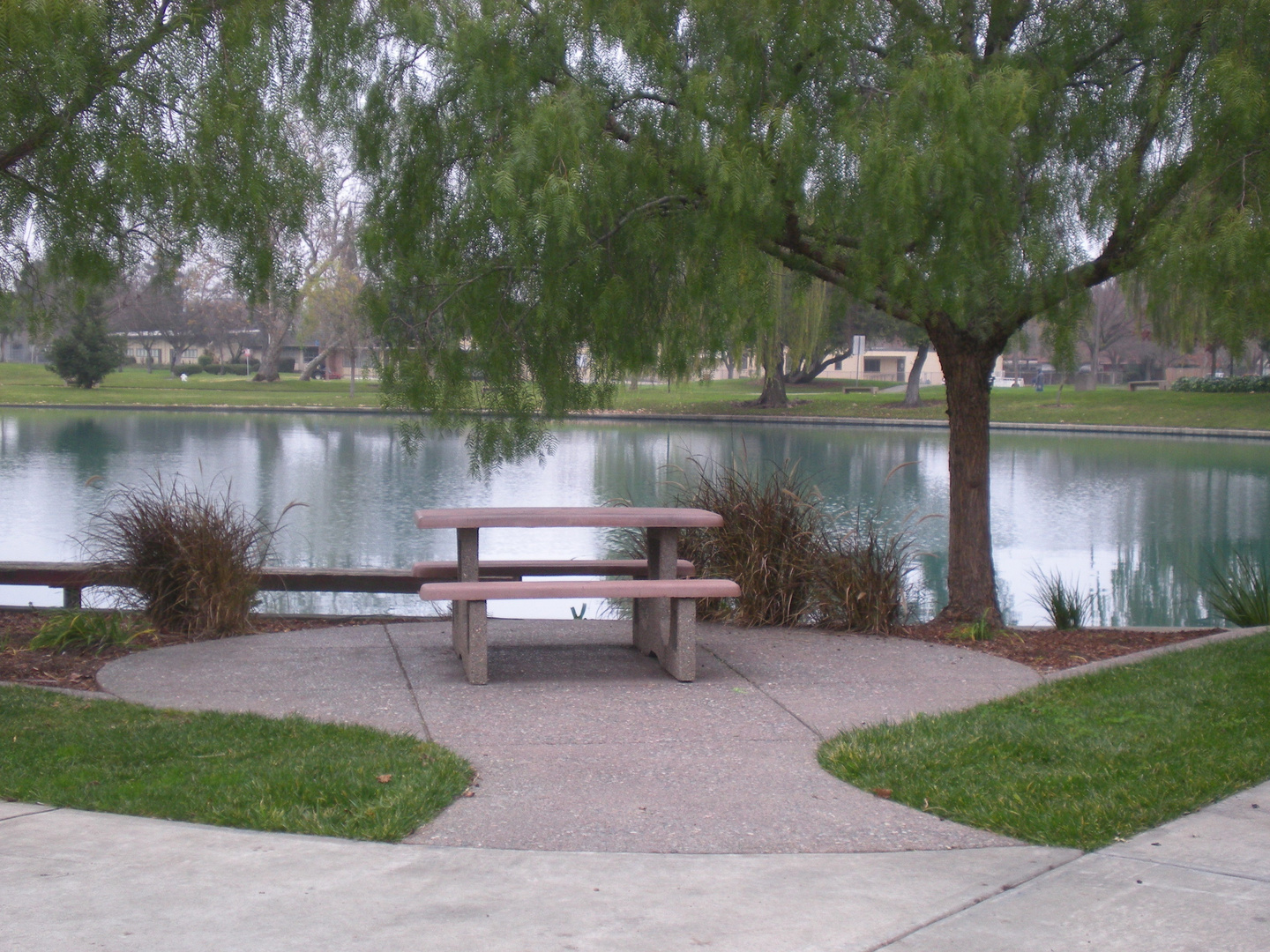 Parque con banca Imagen & Foto | técnicas, panoramas , paisajes Fotos ...