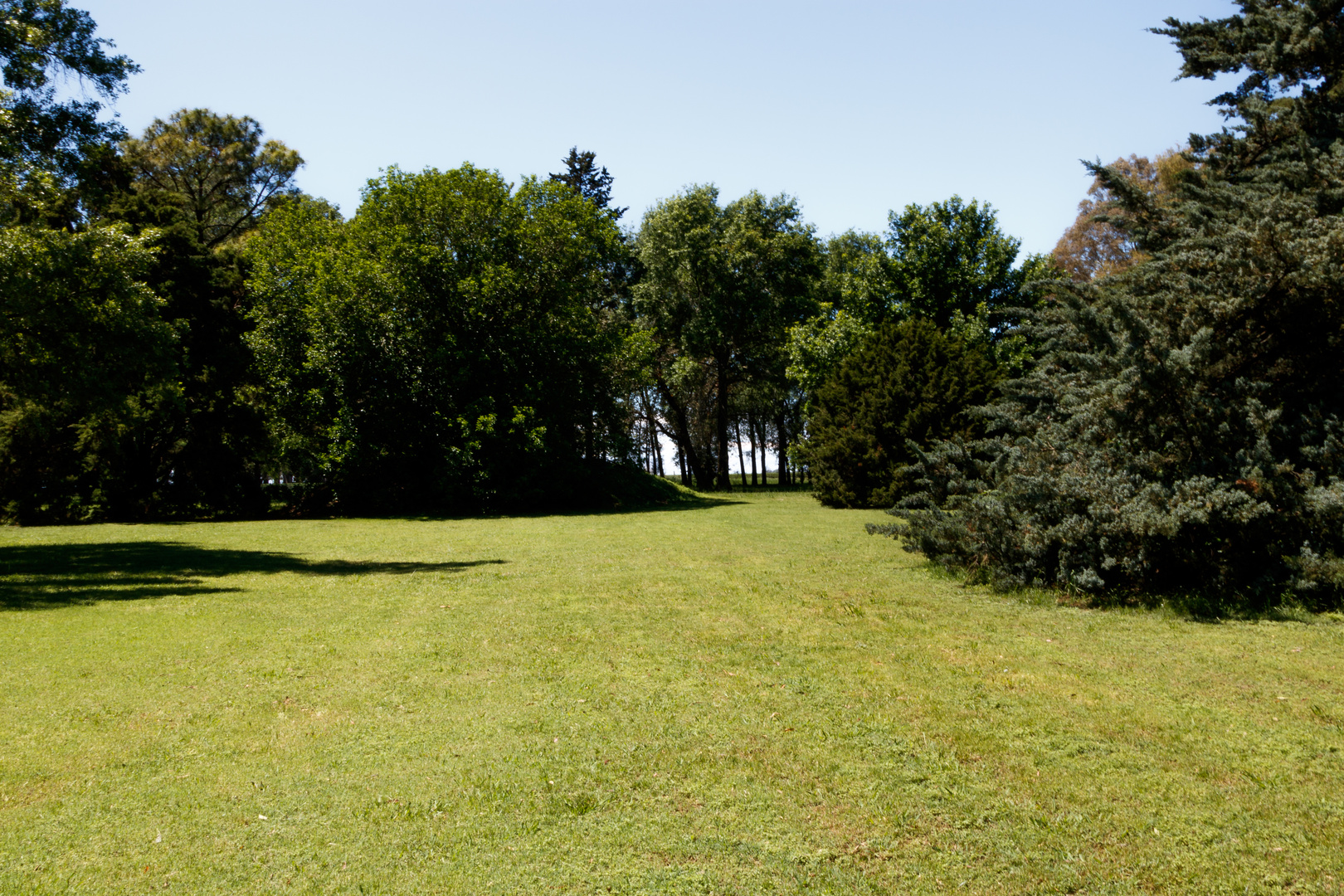 Parque Imagen & Foto | naturaleza, canon, primavera Fotos de fotocommunity