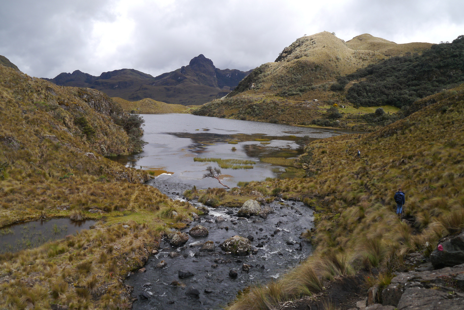 El Cajas Parque