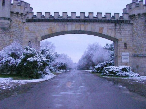 Parque Pereyra Iraola(Berazategui) Imagen & Foto | south america ...