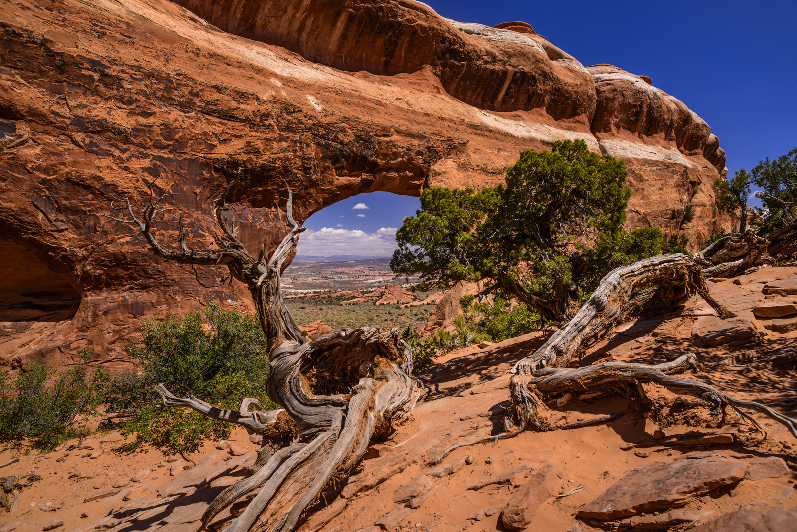 Partition Arch, Arches NP, Utah, USA Foto & Bild | landschaft ...