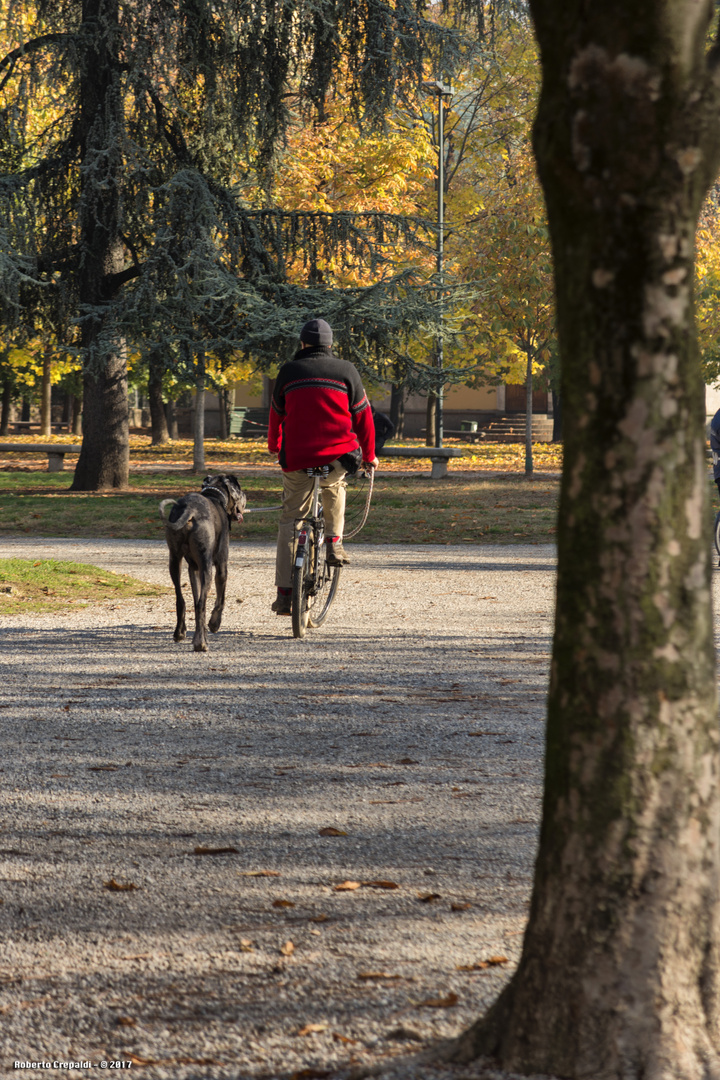 Passeggiata nel parco Foto % Immagini| paesaggi, persone, 2017 Foto su ... Passeggiata nel parco Foto % Immagini| paesaggi, persone, 2017 Foto su ...