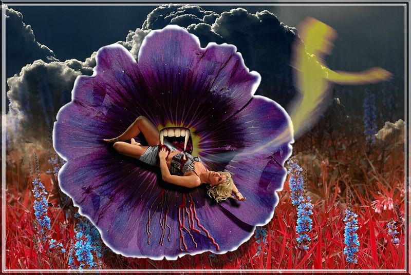 " Passing away " Foto & Bild | fotomontage, fantasy mystery, digiart Bilder auf fotocommunity