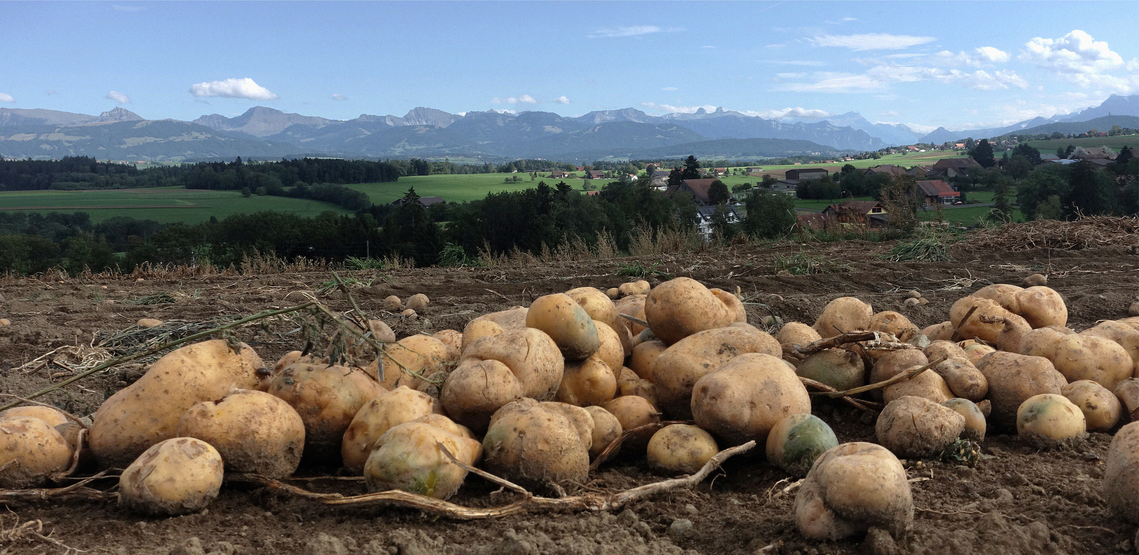 patates photo et image | paysages, suissse, nature Images fotocommunity