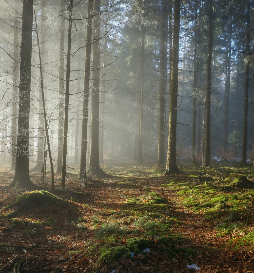 path of light Foto & Bild | landschaft, fotos, canon Bilder auf ...