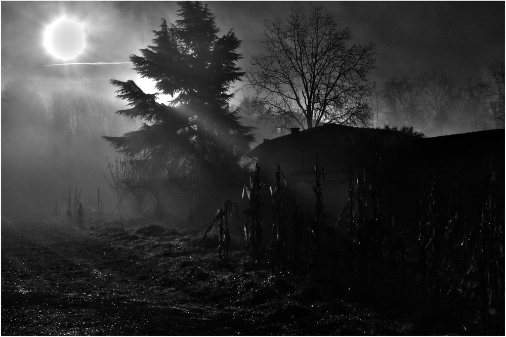 paura Foto % Immagini| paesaggi, boschi e foreste, natura Foto su ...
