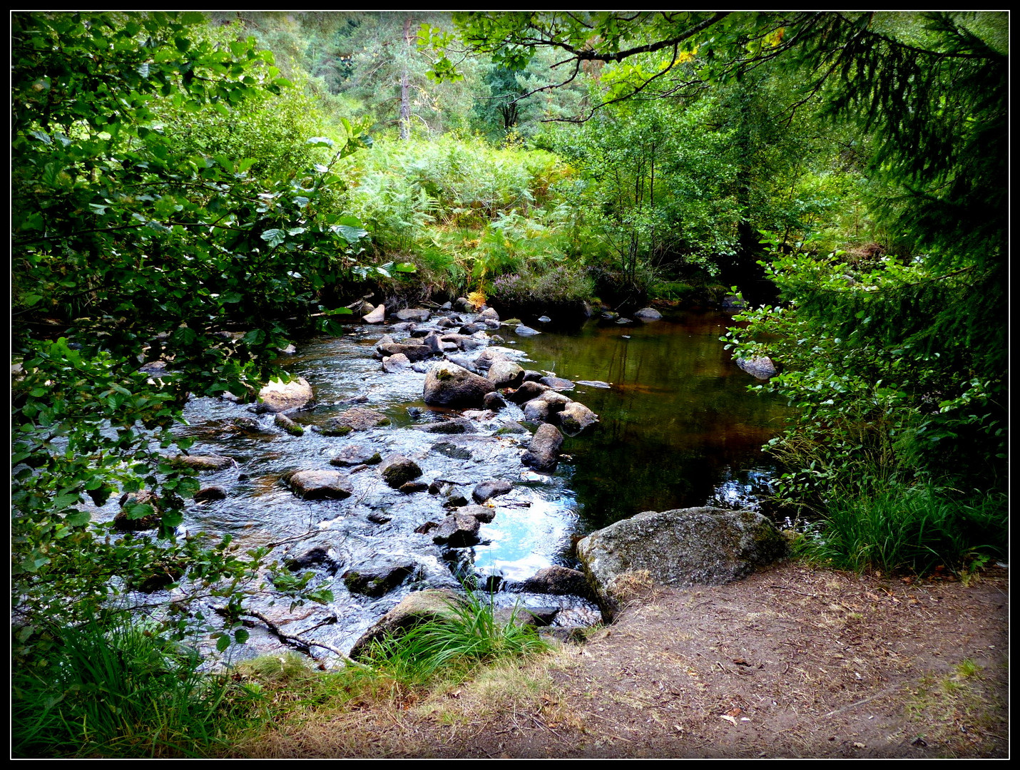 Pause nature photo et image | france, nature, world Images fotocommunity