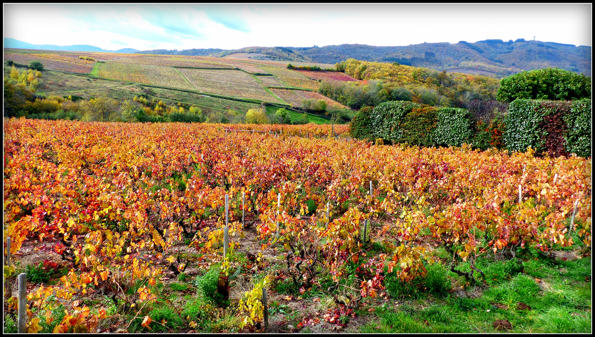 PAUSE - NATURE - 1 - photo et image | france, world, automne Images ...