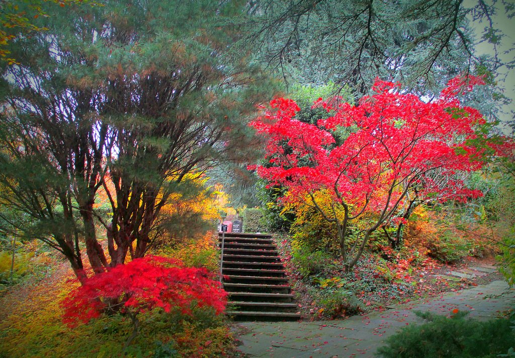 paysage automnal photo et image | animations photographiques, un jour ...