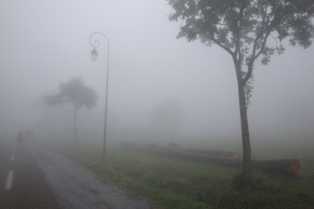 Paysage brumeux. photo et image | divers, nature Images fotocommunity