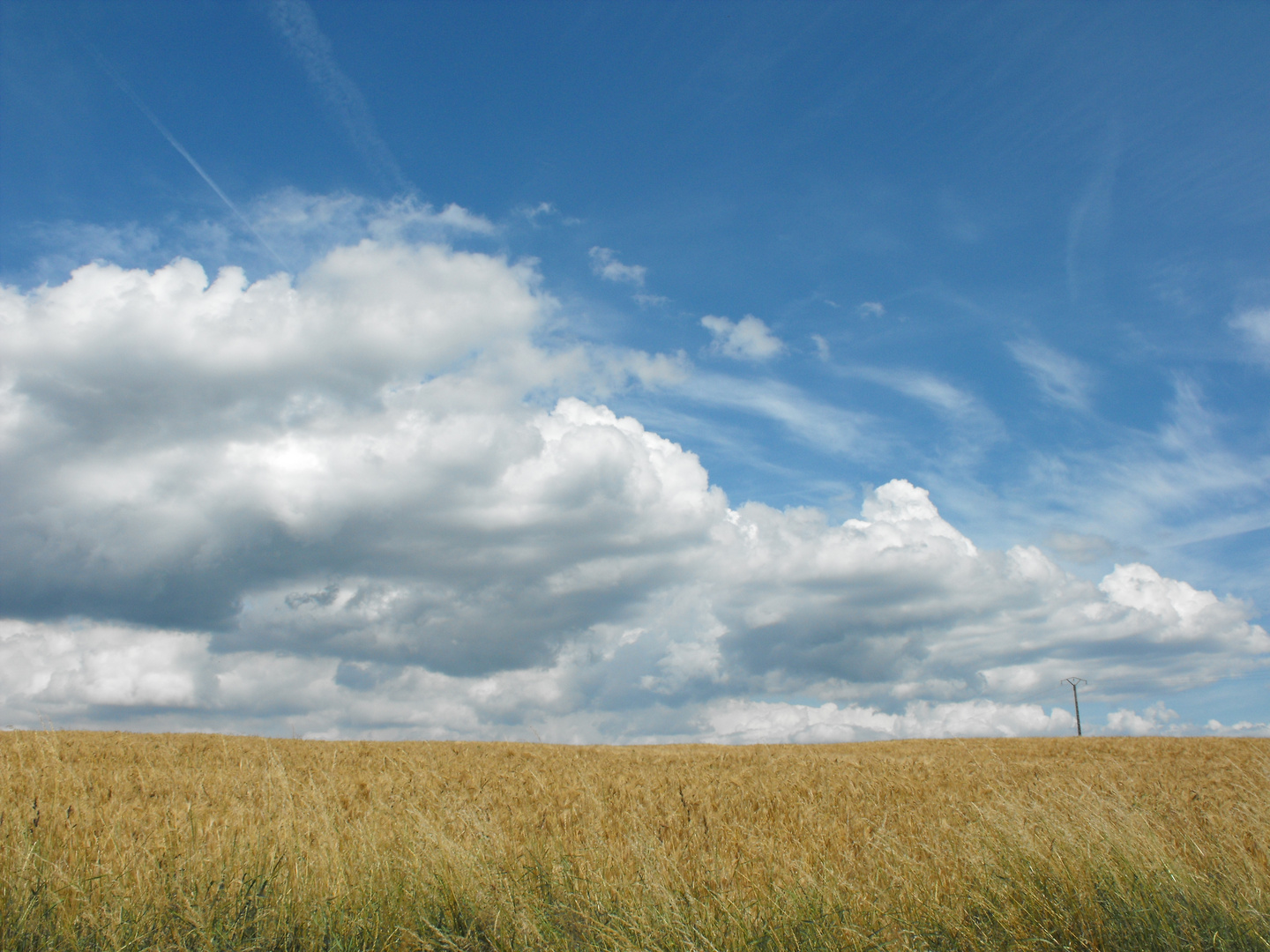 Paysage de campagne alsacienne photo et image | paysages, paysages de ...