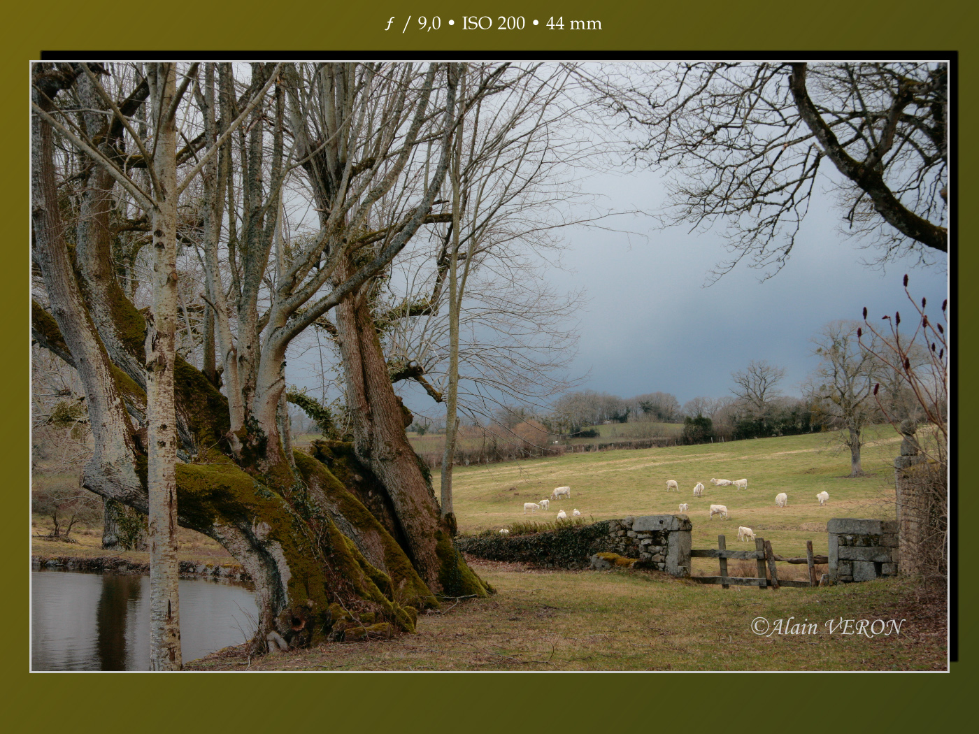 Paysage de Creuse photo et image | paysages, paysages de campagne ...