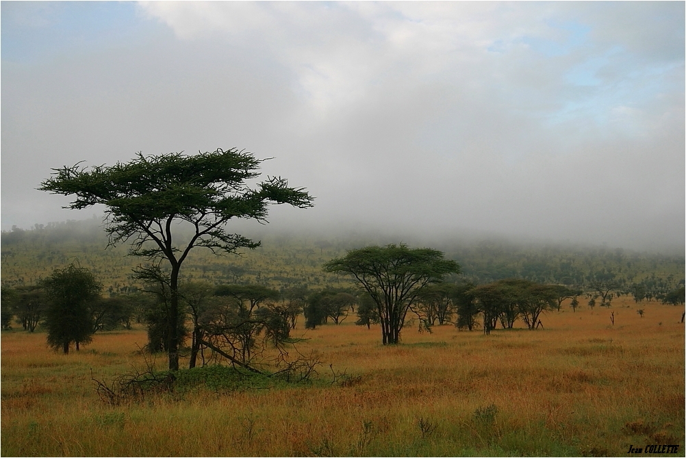 " Paysage de la savane africaine " photo et image | paysages, images du ...