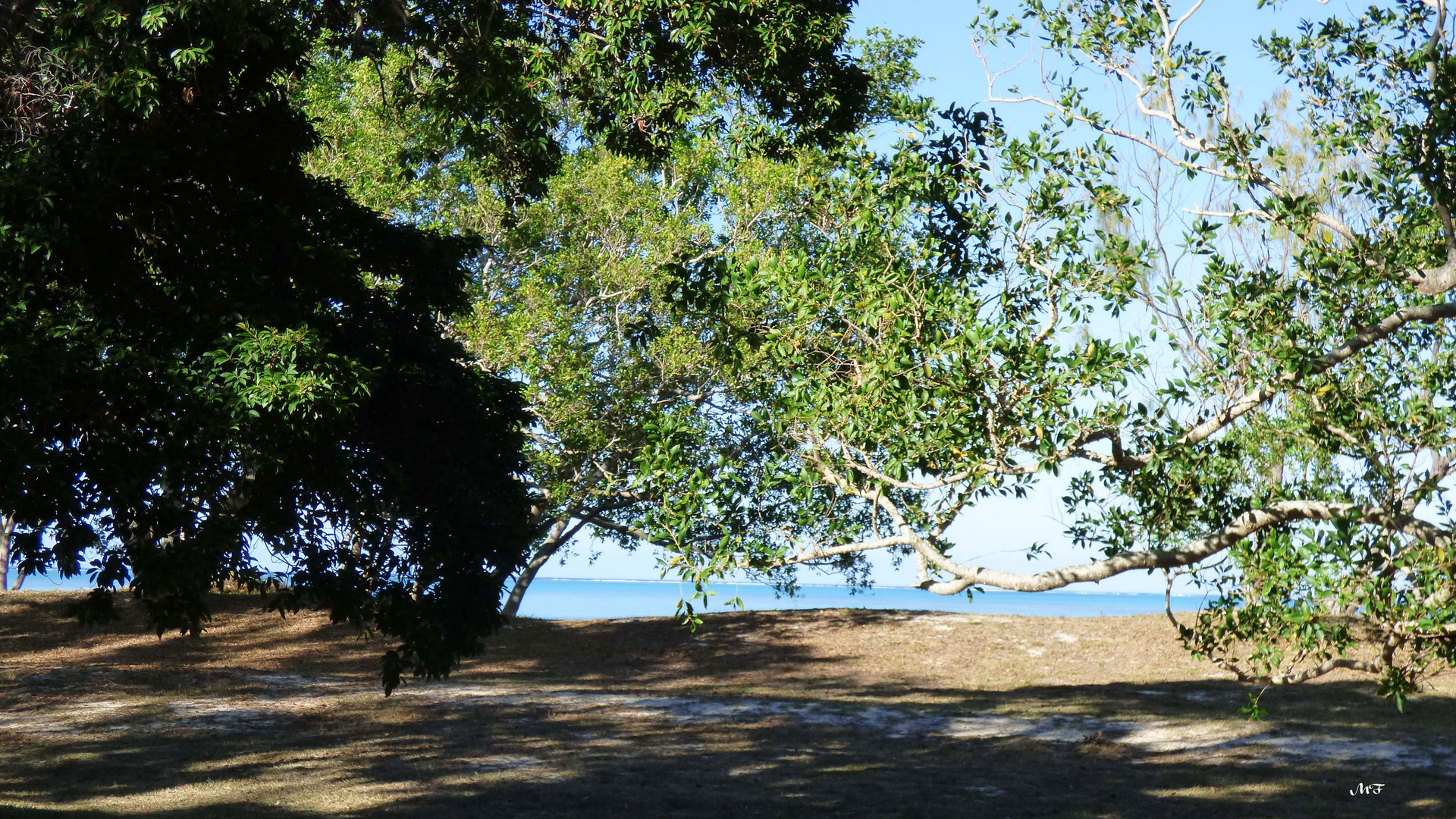 Paysage du bord de mer photo et image | paysages, mers et océans ...