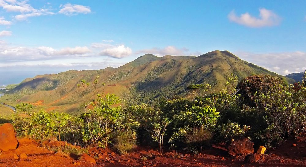 Paysage du Sud calédonien -- Landschaft im Süden von Neukaledonien ...