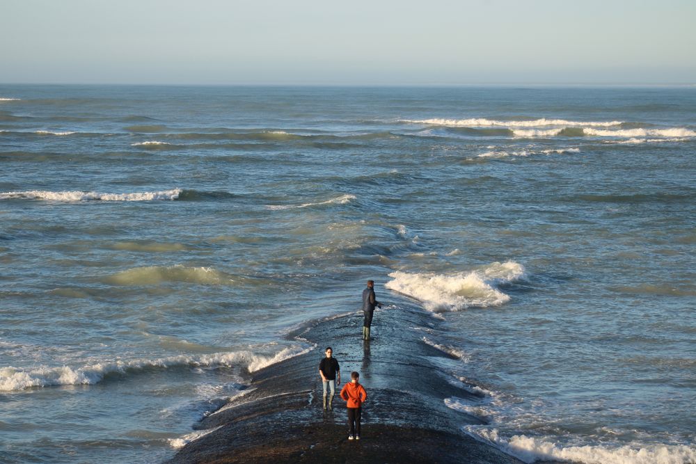 Pêche photo et image | divers, la nature simplement, plage Images ...