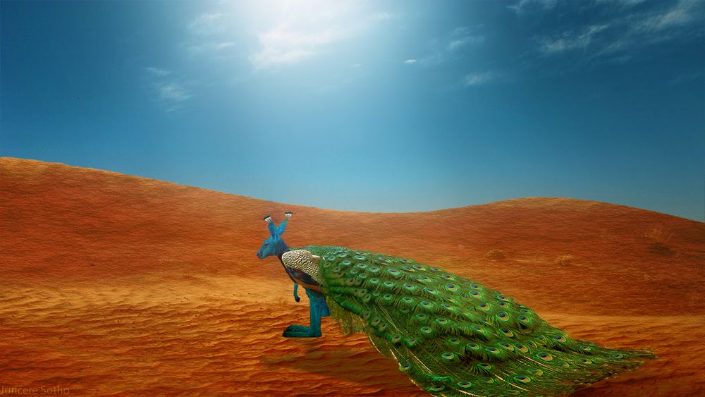 peackuruh Foto & Bild | fotomontage, surreal, composing Bilder auf fotocommunity